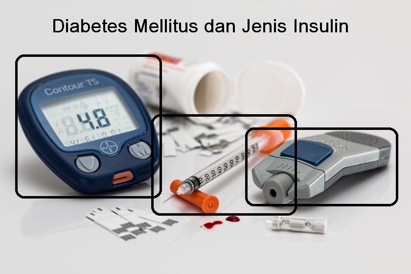 Diabetes Mellitus: Definisi, Klasifikasi, Komplikasi, Jenis Obat dan ...