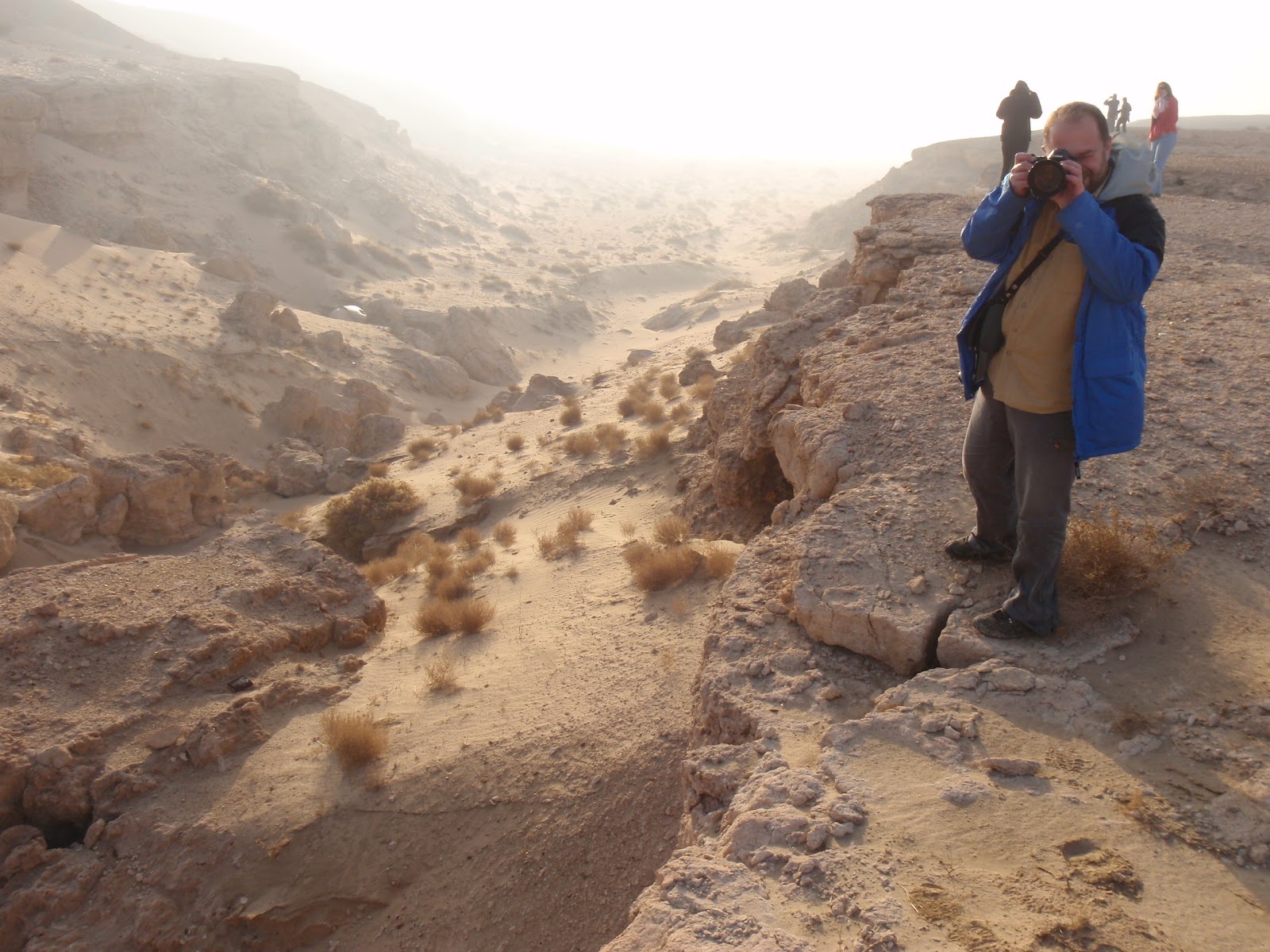 Athens Nature Journal: Kuwait Birding: Nature and culture experiences