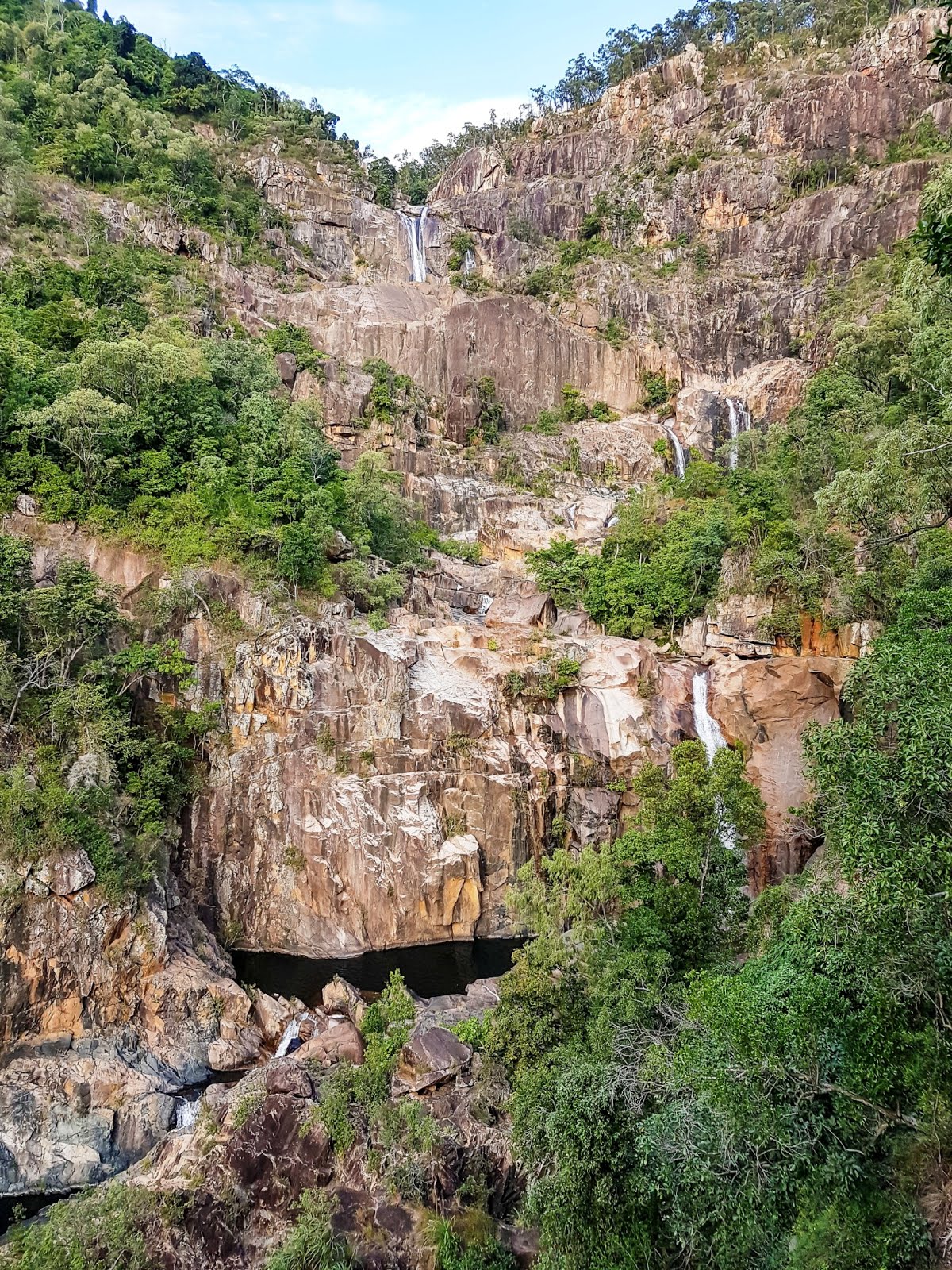 National Park Odyssey: Jourama Falls: Walks & Wildlife, Paluma Range ...
