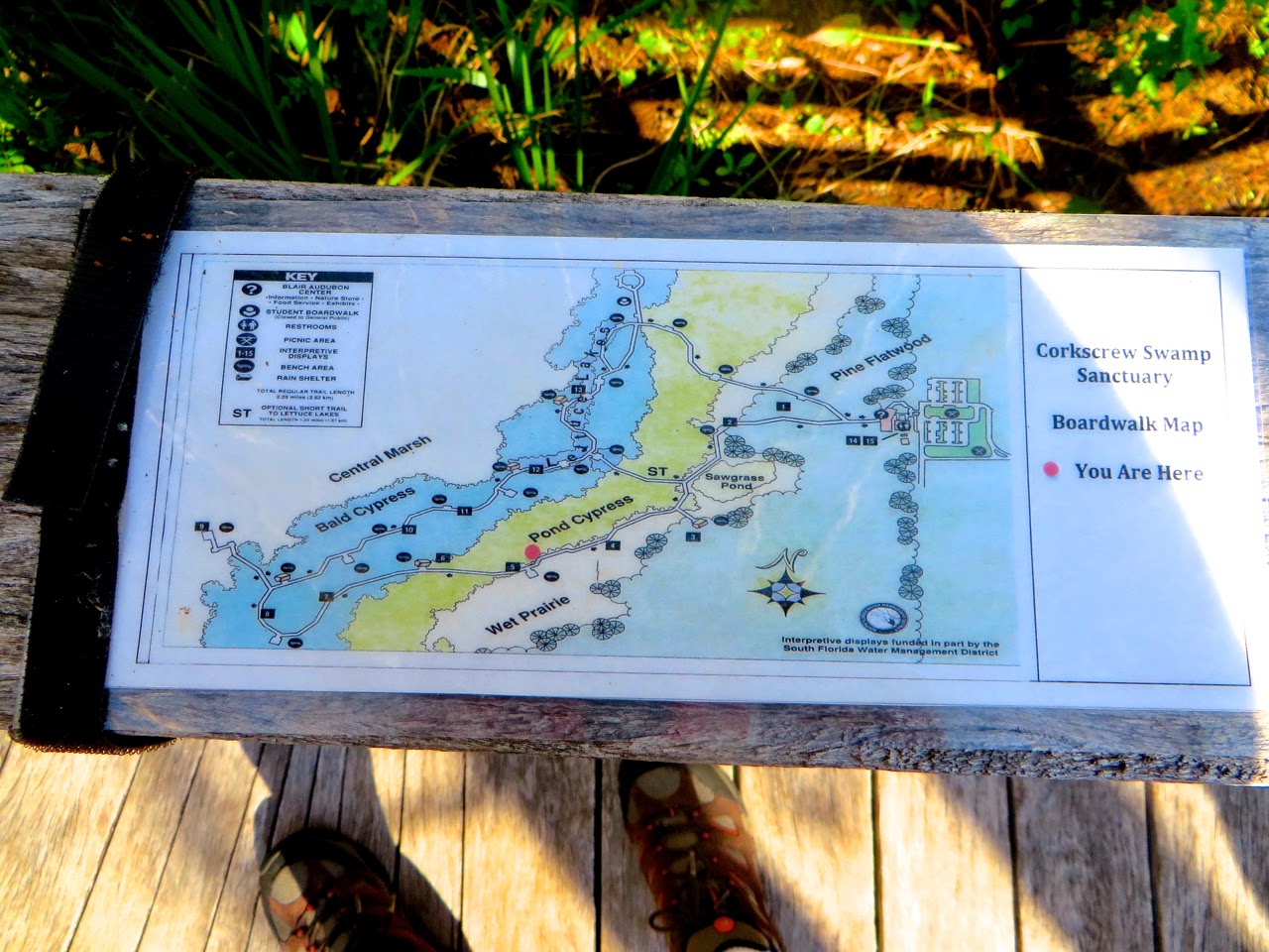 Chuck's Adventures: Corkscrew Swamp Sanctuary (Blair Audubon Center)