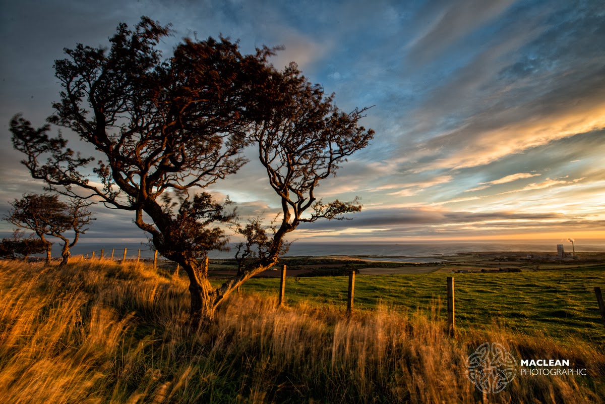 The View from Doon Hill