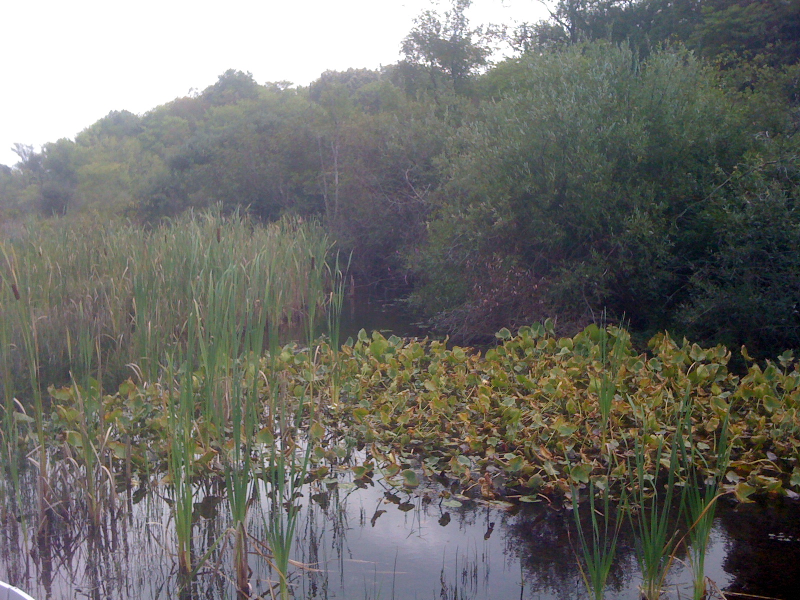 OHventures: 10 Great Ohio Hiking Spots