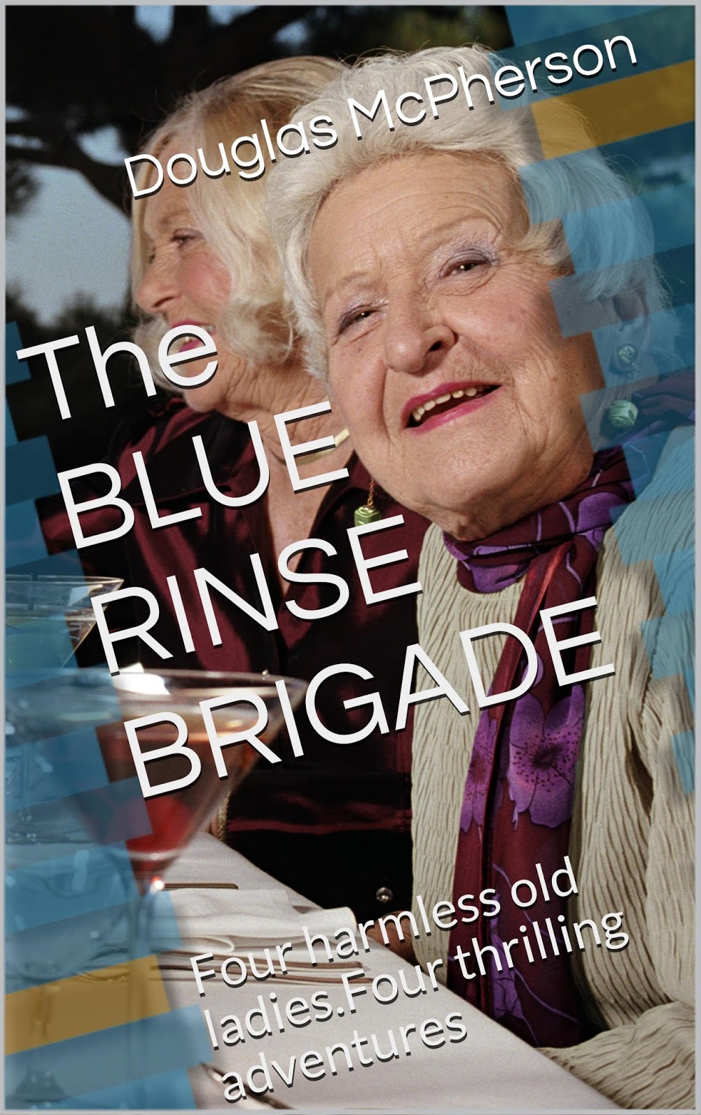 Polka Dot Dreams: The Blue Rinse Brigade Great New Book!
