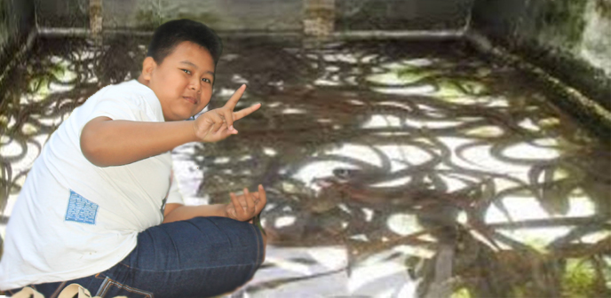 Budidaya Belut Air Jernih - YOUTHECC