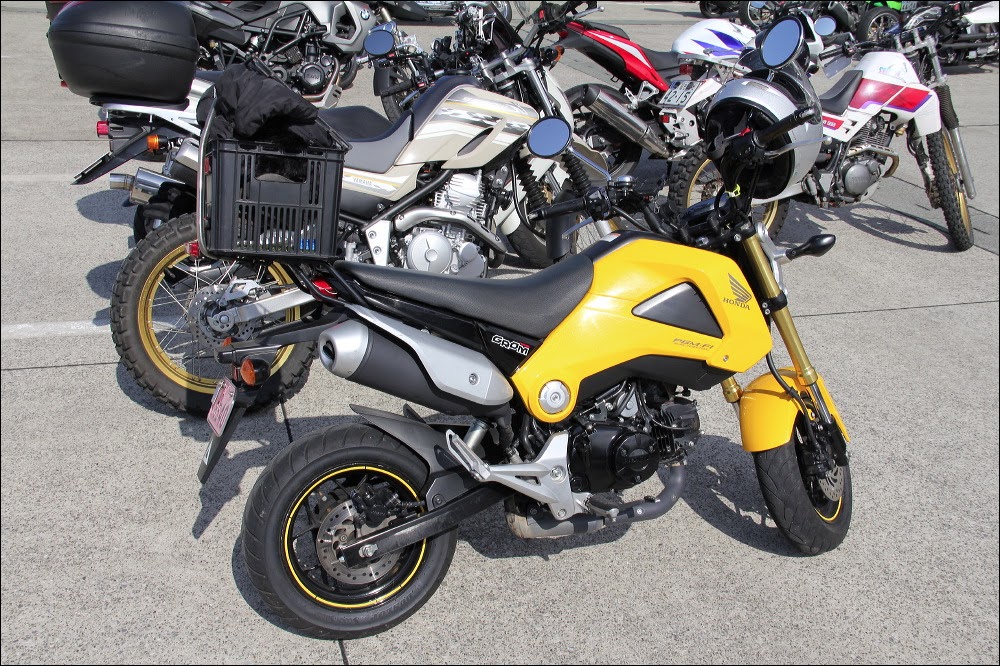 ROAD RIDER: Yellow HONDA GROM