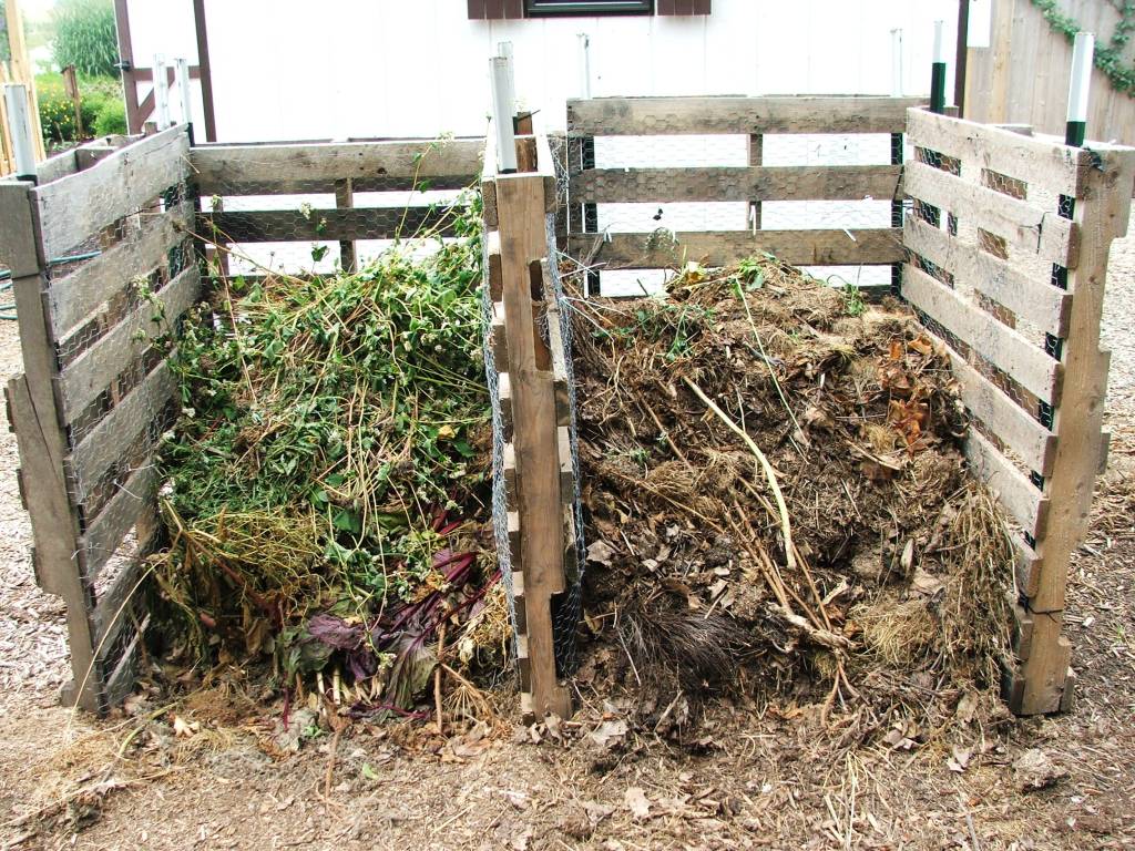 Hort Blog