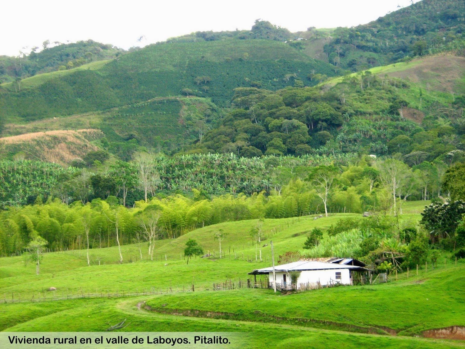 Arte, cultura y turismo: Fotos del Campo Colombiano (Paisajes del Huila)