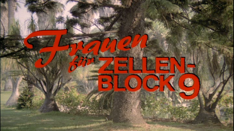 The Vidiot Writes: Women in Cell Block 9 (1977)