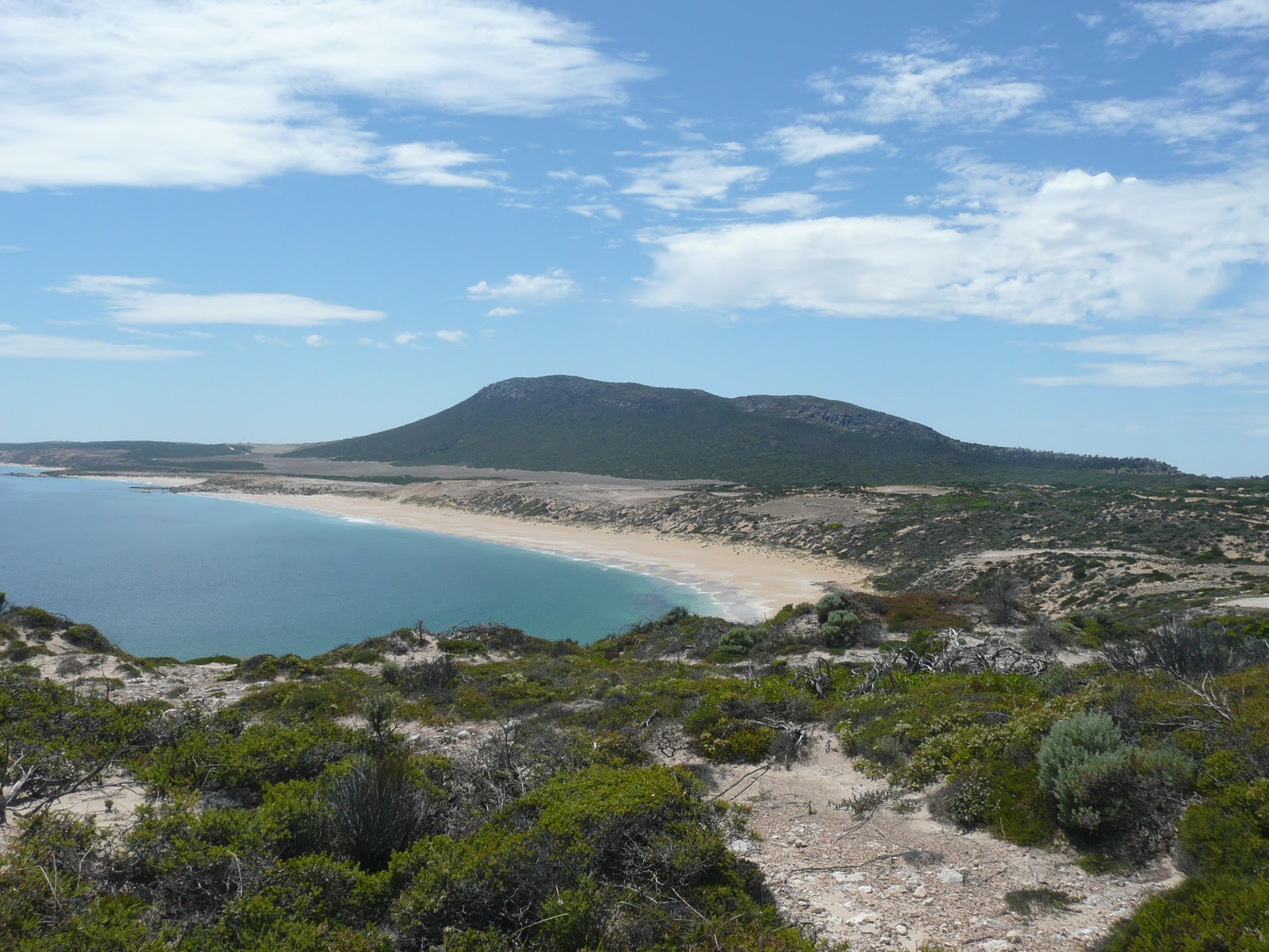 Nele & Andrew Around Oz: March 2011
