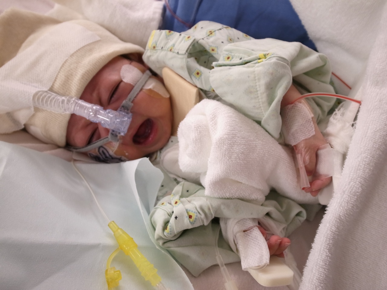 リサのおは梨: DPAPをつけた