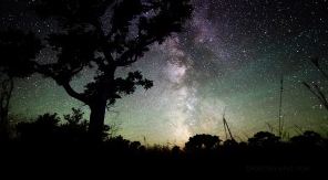 Amazing Temporal Distortion Video by Randy Halverson ~ Wolfram Publications