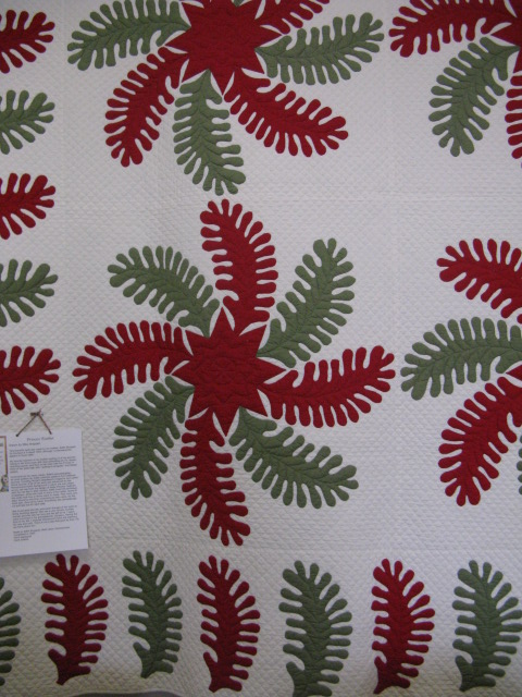 Quilting Blog - Cactus Needle Quilts, Fabric and More: Princess Feather ...