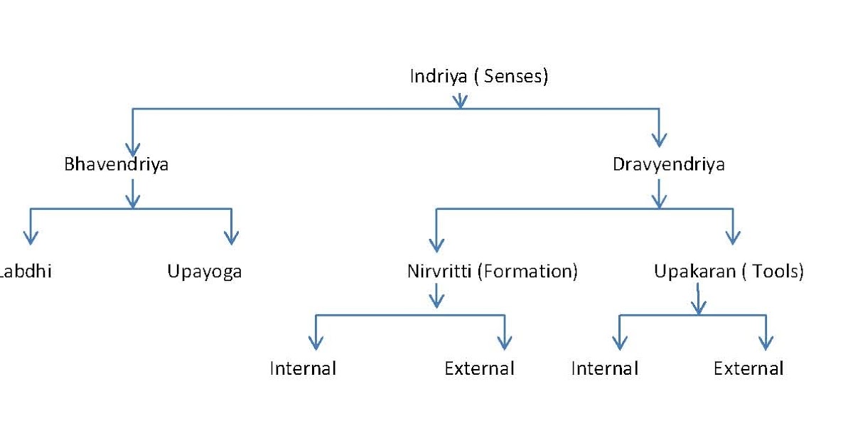 Jainism: 14 Marganas : 2. Indriya Margana