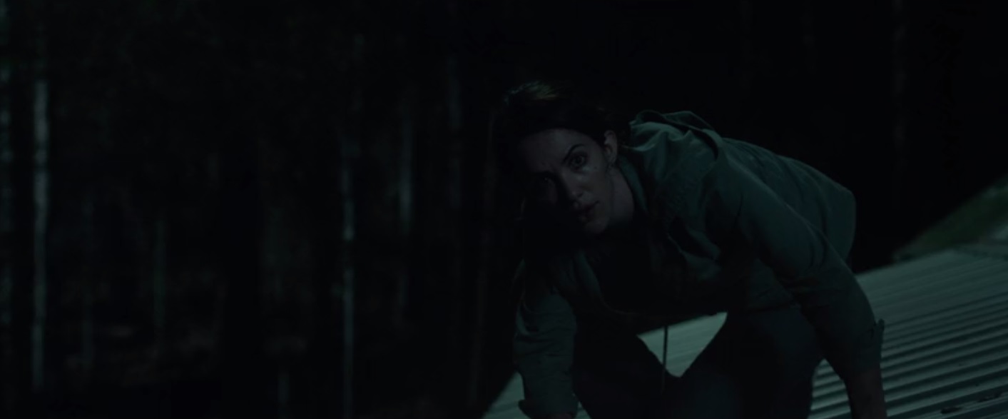 Cinema Freaks: Hush (2016)