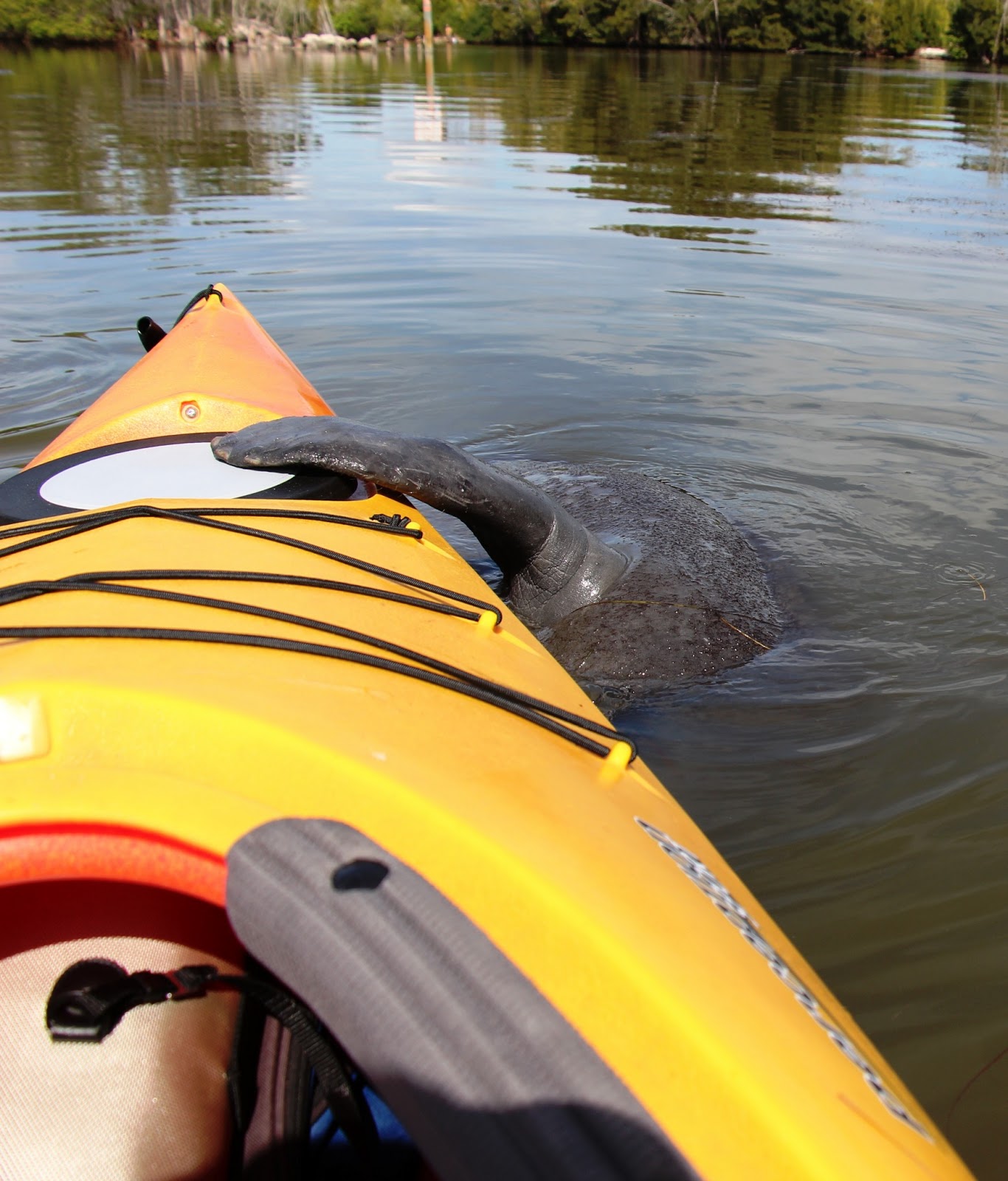 Views From Our Kayak: Haulover Canal