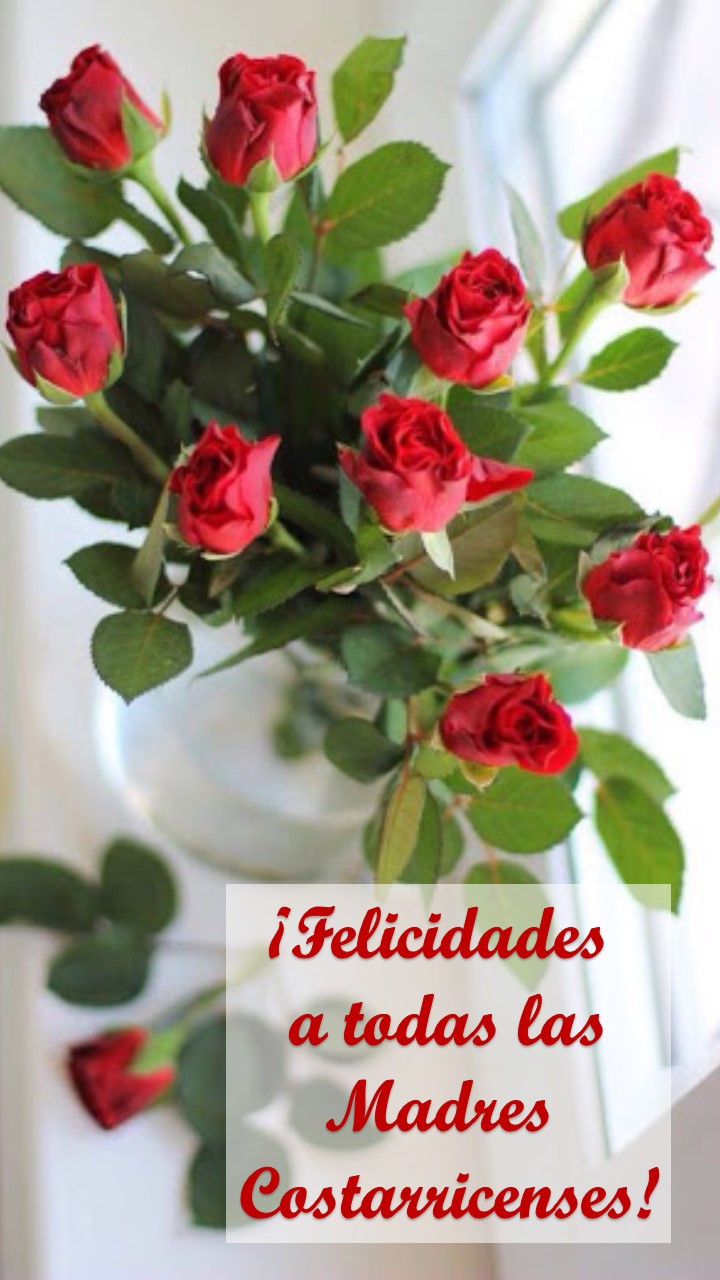 15 de Agosto la Asunción de María | Misioneras de la Caridad y la ...