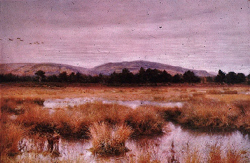 bensozia: John Everett Millais