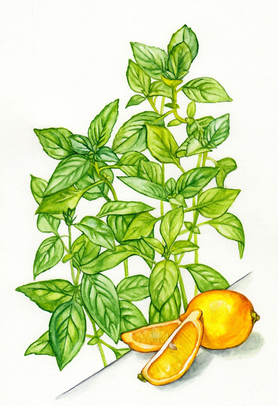 Jessie's Art: April 2013