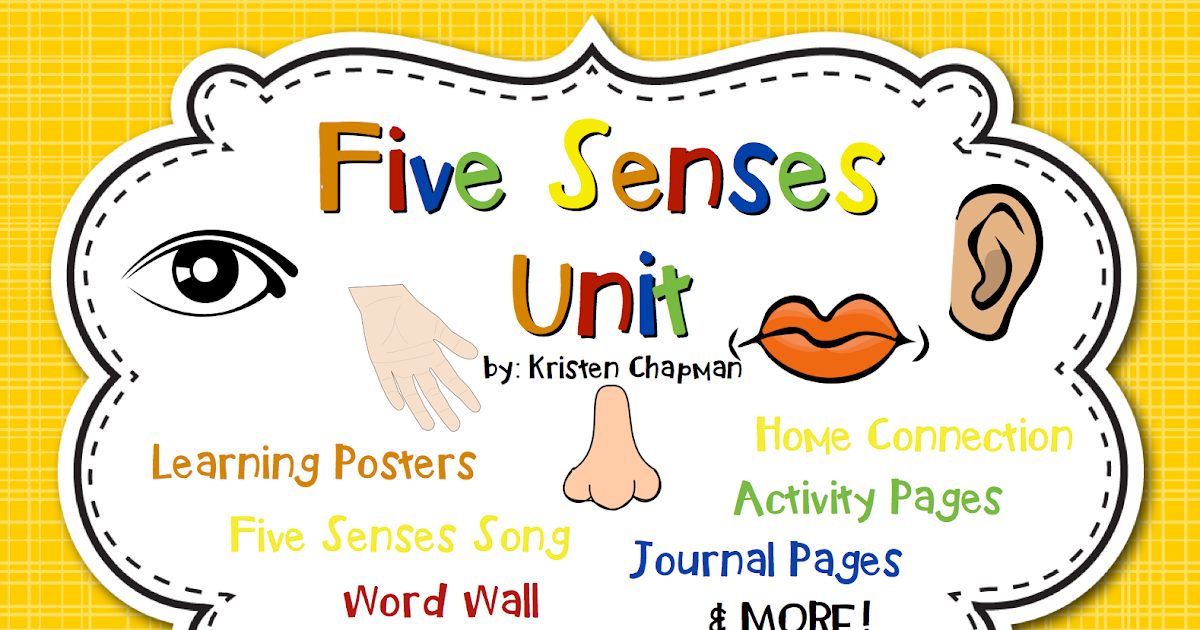 Early Childhood Scribbles: Five Senses Unit w/ FREEBIE!