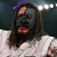 WORLD WRESTLING ENTERTAINMENT: TNA Professional Wrestler