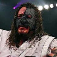 WORLD WRESTLING ENTERTAINMENT: TNA Professional Wrestler