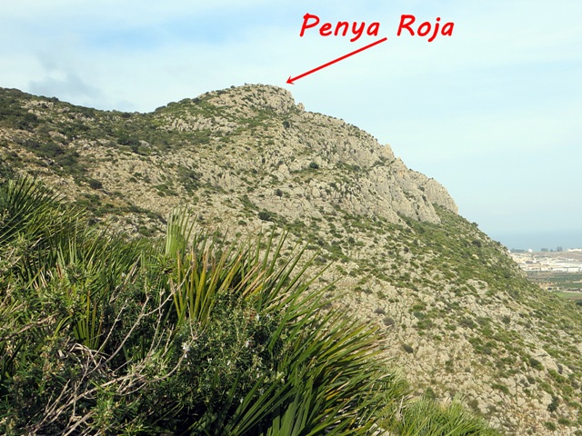 TROTASENDES BENICALAP: 2015