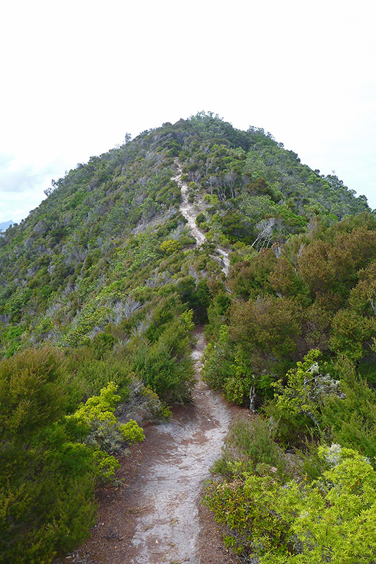 The Adventures of S/V Silhouette: Journey to Whangarei