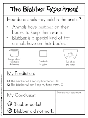 Colors and Kindergarten: My Science Journal: Polar Animals