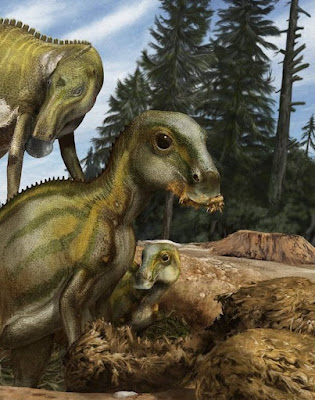 Species New to Science: [Paleontology • 2018] Bacteria meet the "Titans ...