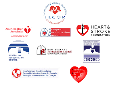 EMS SOLUTIONS INTERNATIONAL: International Liason Committee on ...