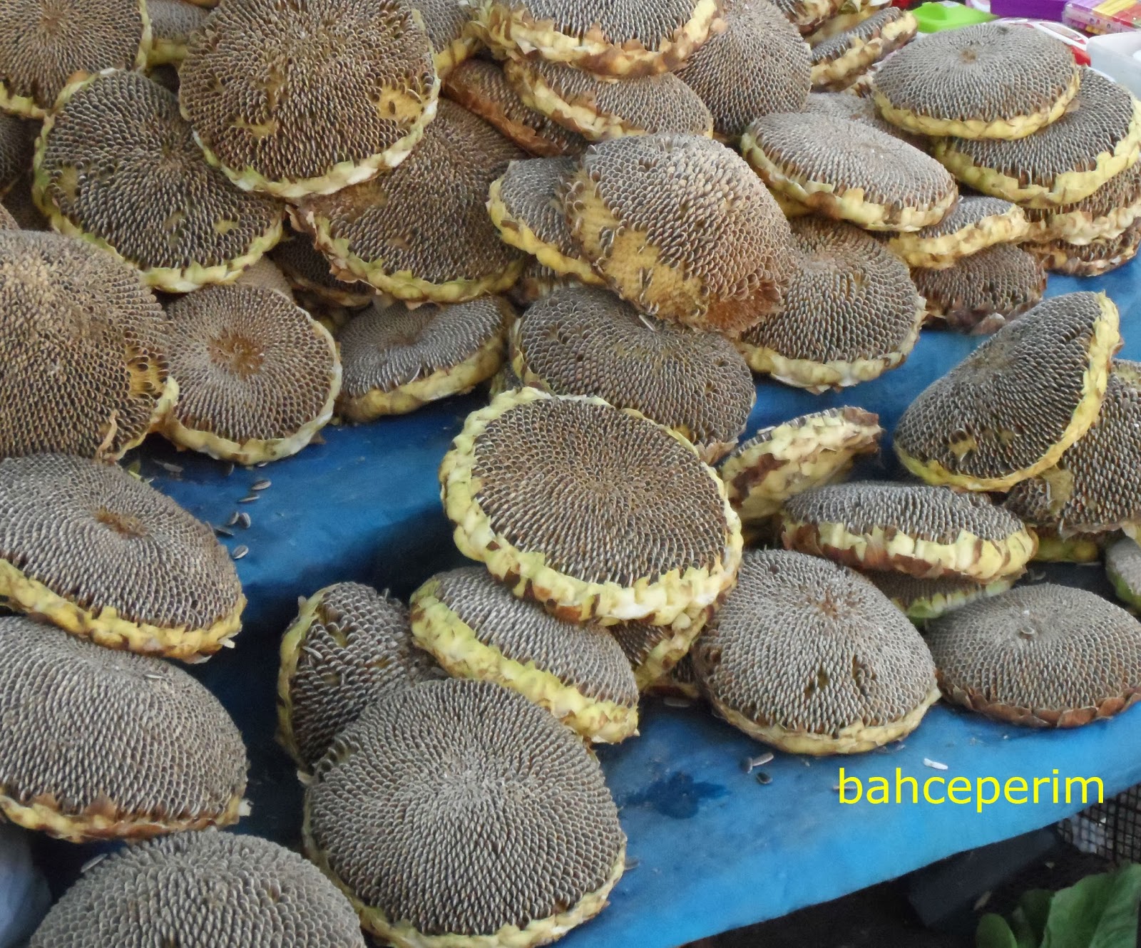 Bahçe Perim: KÖY PAZARI