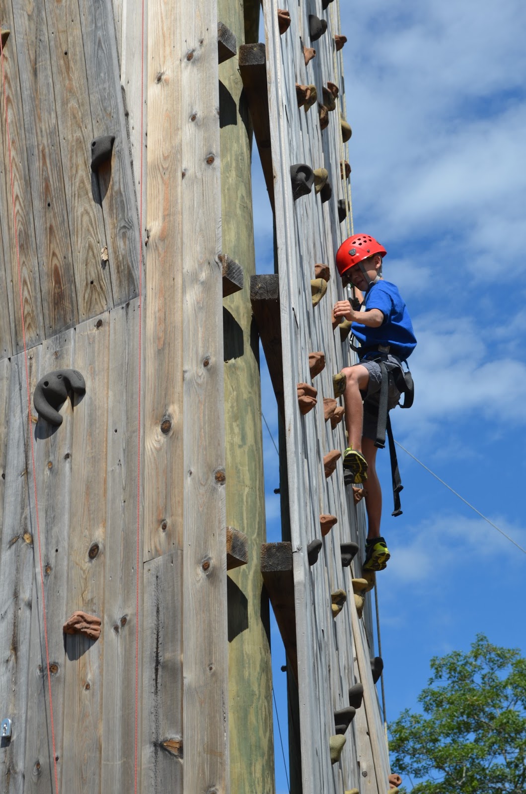 Summers of Pathways: High Ropes - Cabin Trust & Cabin Share