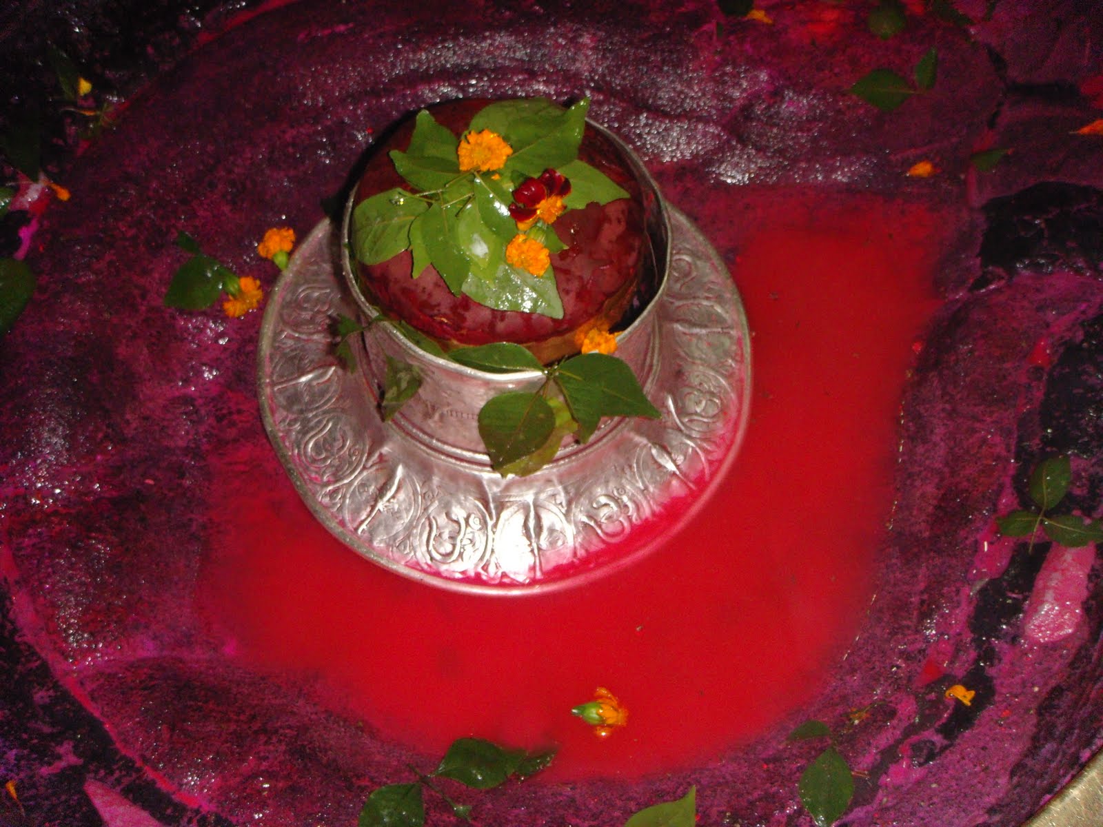 baba basukinath: JAI BABA BASUKINATH