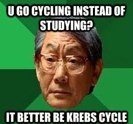 U Go Cycling Instead Of Studying. Funny Memes About Cycle ~ FunPicer