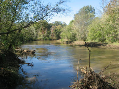 Lake Conestee Nature Park | Greenville SC Parks
