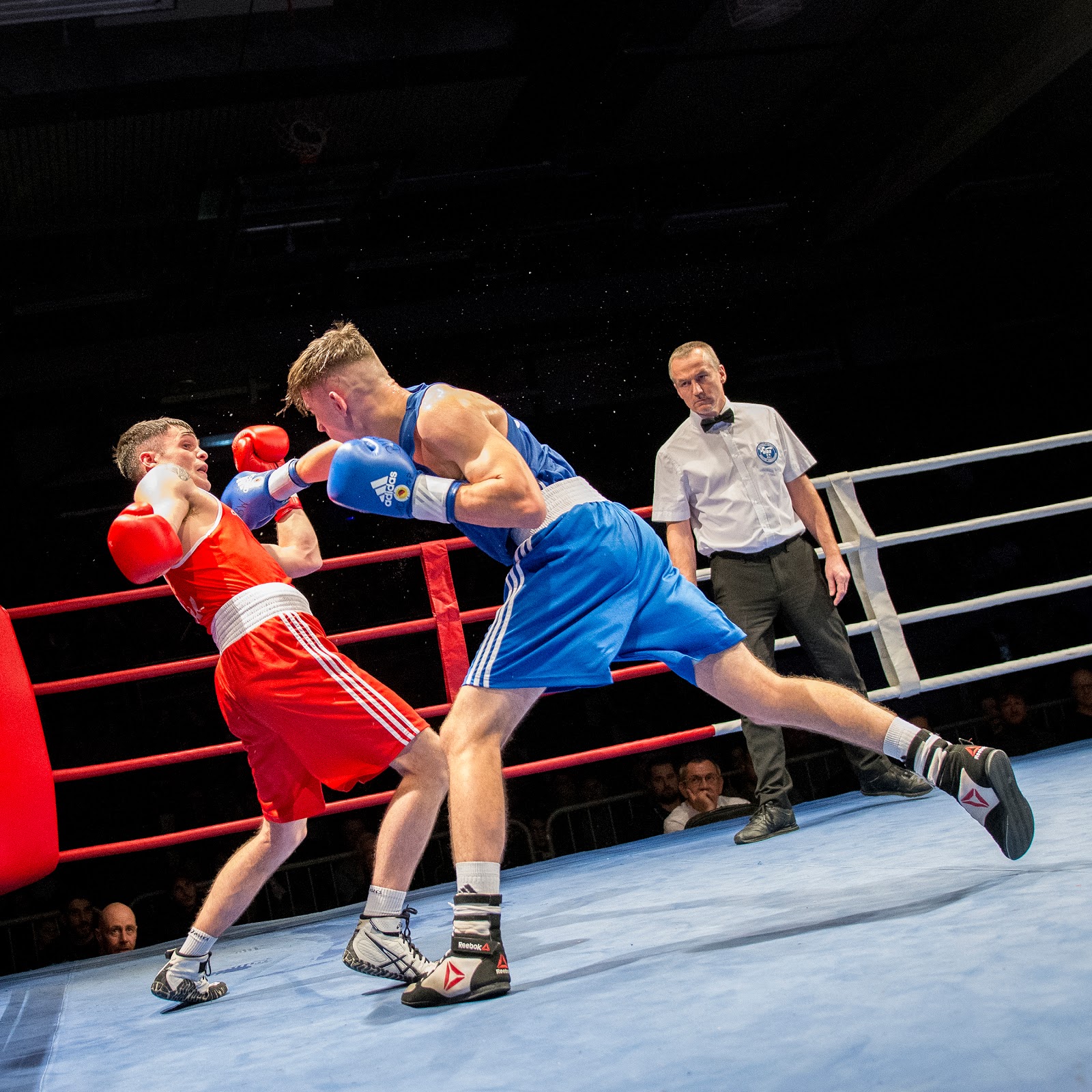 TageBilder: Boxen – Boxing VS gegen Irland – Das war die Boxgala am 15 ...