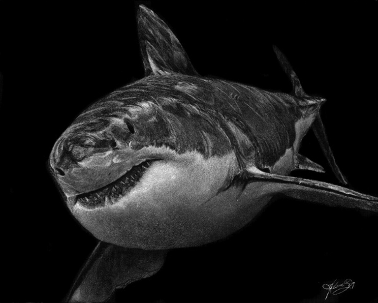 Design Stack: A Blog about Art, Design and Architecture: Scratchboard ...