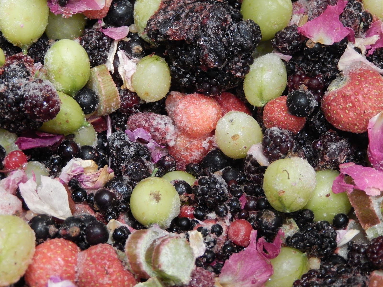 Ben's Adventures in Wine Making: Xmas Tutti Fruti 2017 - The Making Of...