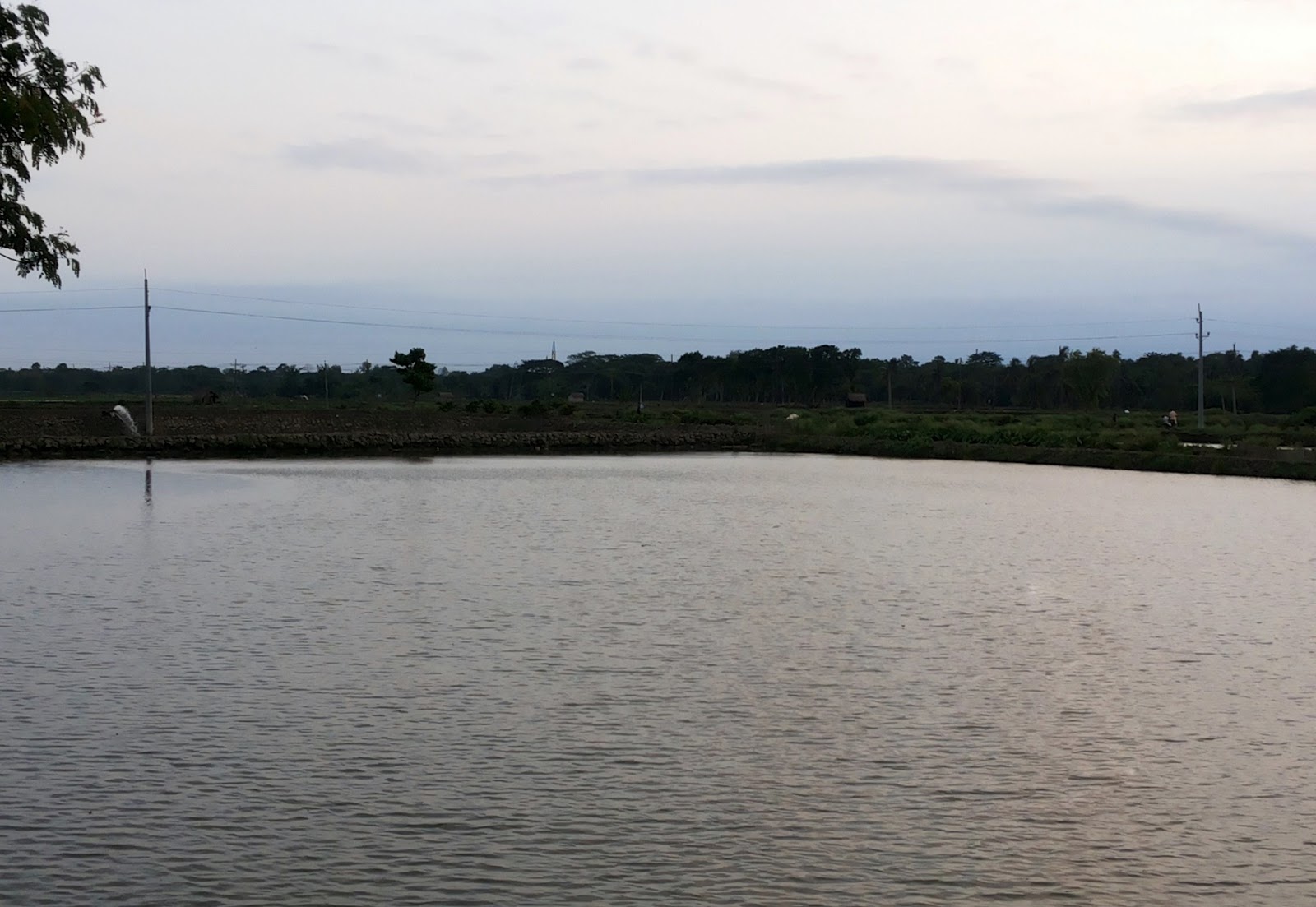 Jessore District ,Bangladesh