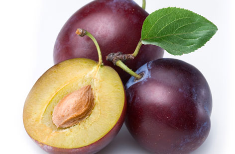 How to Plant a Plum Seed - Kilimo Hai