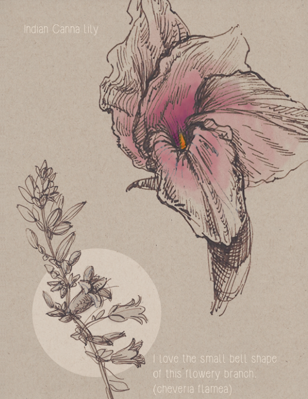 Warrior Spirit, Artist Heart: Dynamic Sketching with Peter Han