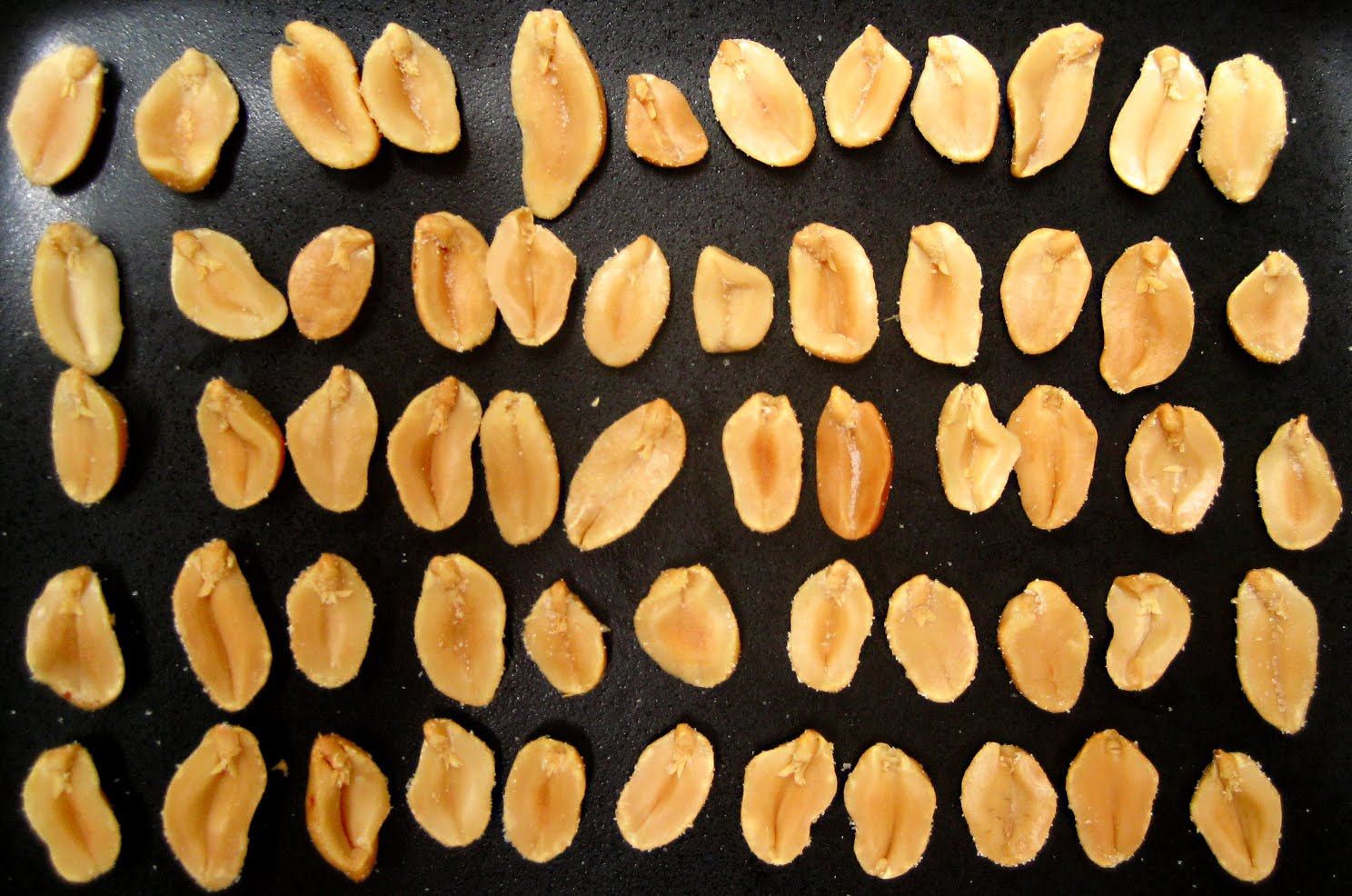 deez: SALTA FITTOR; HALLELUJA!!!!!