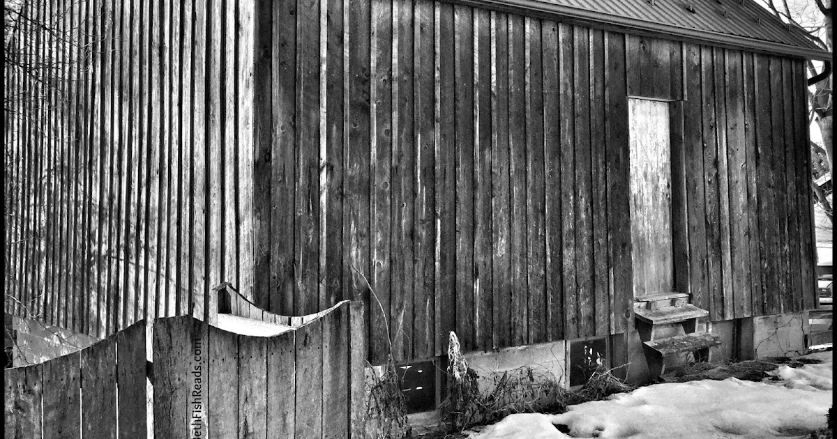 Beth Fish Reads: Wordless Wednesday 488