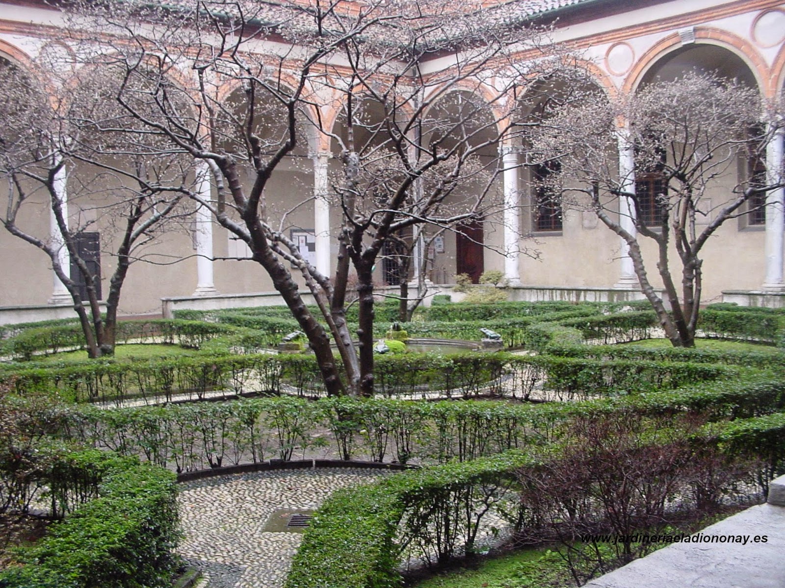 Jardineria Eladio Nonay: CLAUSTROS (Jardinería Eladio Nonay)