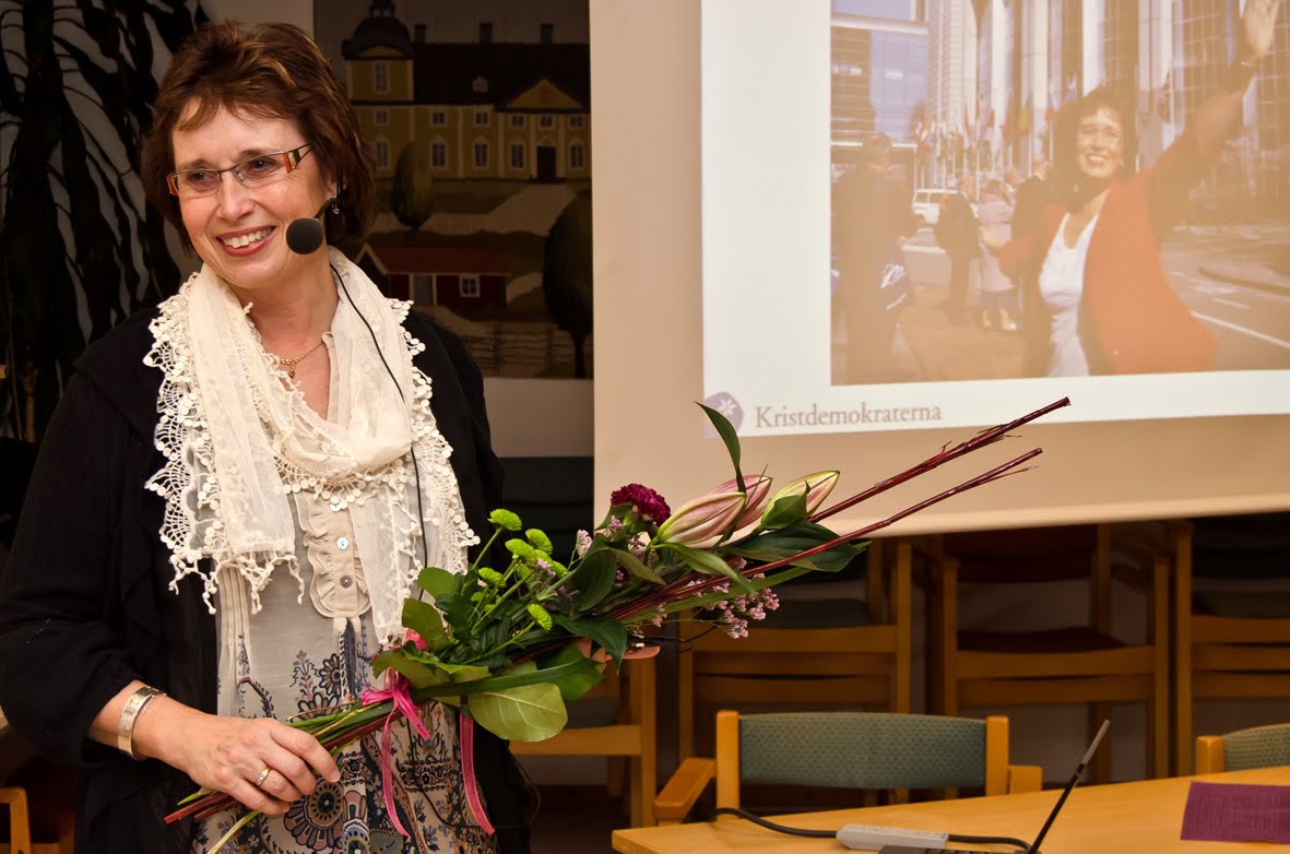 Gudrun grunnar: Försumma inte sakpolitiken för regionfrågan!