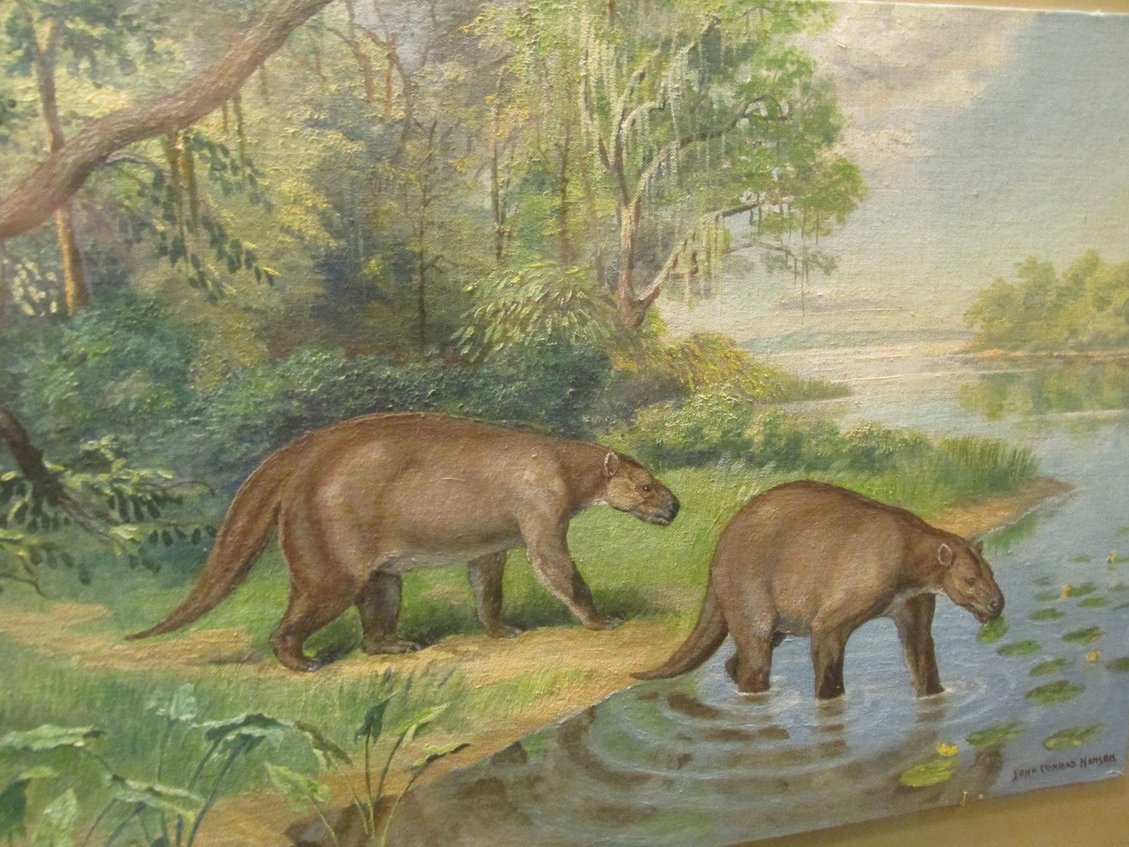 What happens when a non-accredited paleontology fan blogs: Species that ...