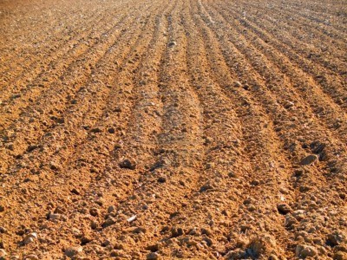 Dalla Terra dei Santoni: L’aratura tradizionale