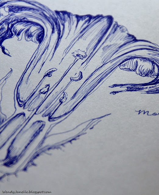 Living Creatively: 10 Ways to Vary Your Nature Journal Layouts