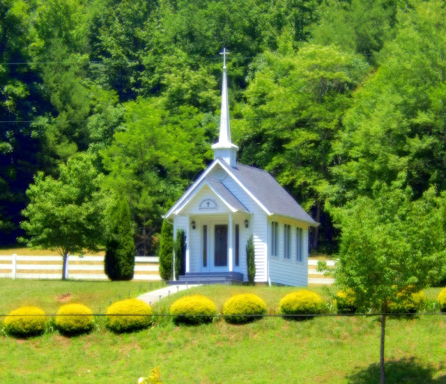 Hiking with a Fat Bald White Guy: Wilson Creek - Gragg Prong Falls