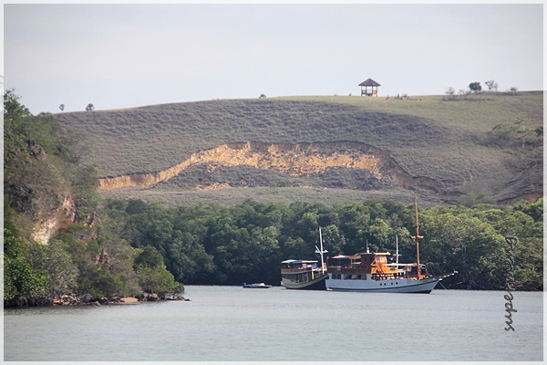 SUPERMENG MALAYA: JELAJAH2NUSA : 04 | Pulau RINCA ( Loh Buaya Komodo ...